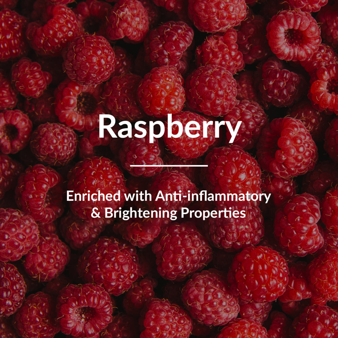 Shop The Best Natural Skincare & Vegan Beauty Products Online at Lotus ...